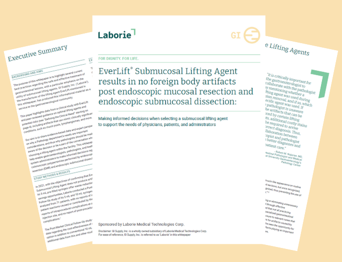 EverLift White Paper Download 2022